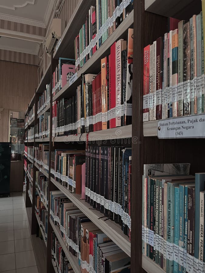 A Library Full of Books History Knowledge and the Future of Ours ...