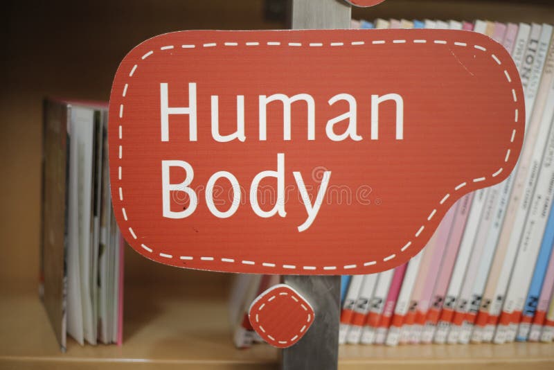 Library Human Anatomy Section Stock Photo - Image of anatomy, body ...