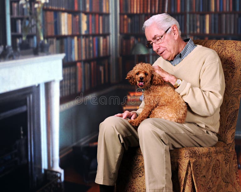 Library Pup stock photo. Image of books, mammal, puppy - 11322240