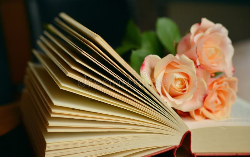 Libro aperto con rose immagine stock. Immagine di fiori - 94536483