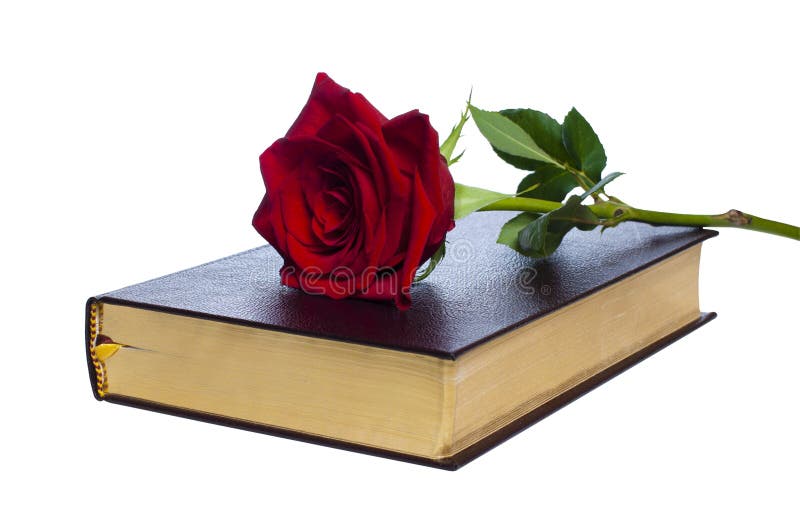 Libro con una rosa foto de archivo. Imagen de amor, valentina - 18086944