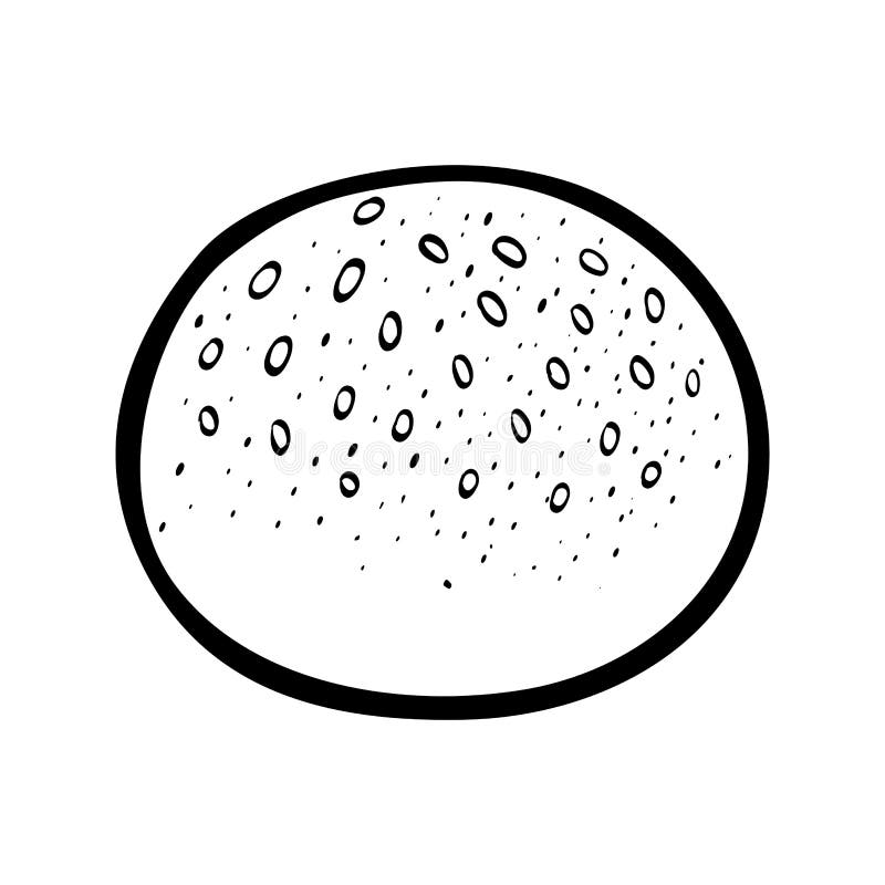 Libro de colorear, bollo ilustración del vector. Ilustración de grilled ...