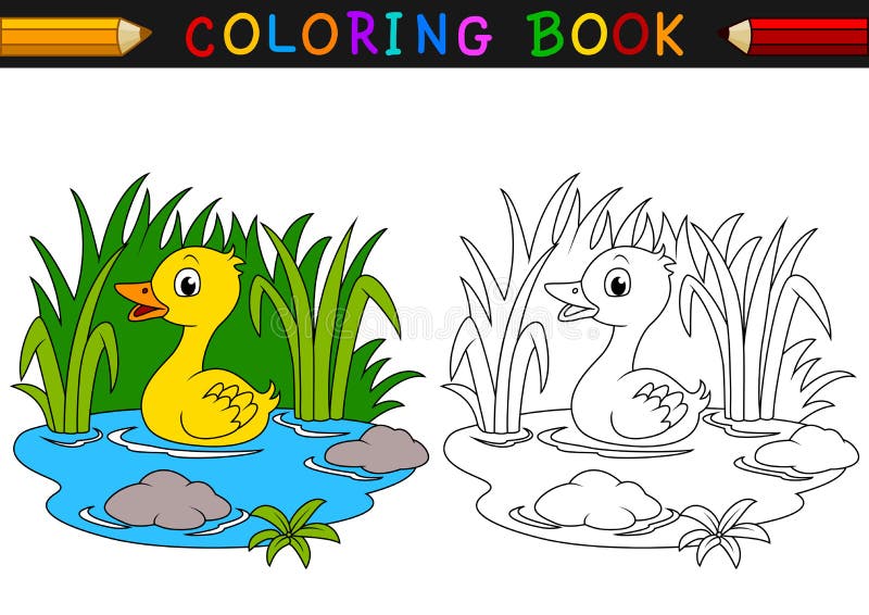 Libro De Colorear Del Pato De La Historieta Ilustración del Vector ...