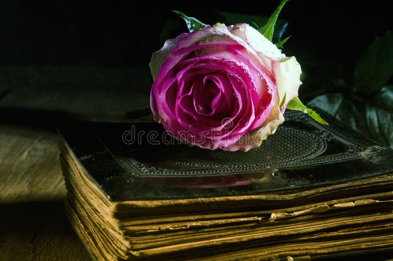 Libro mistico fotografia stock. Immagine di lezione, preghiera - 14277490