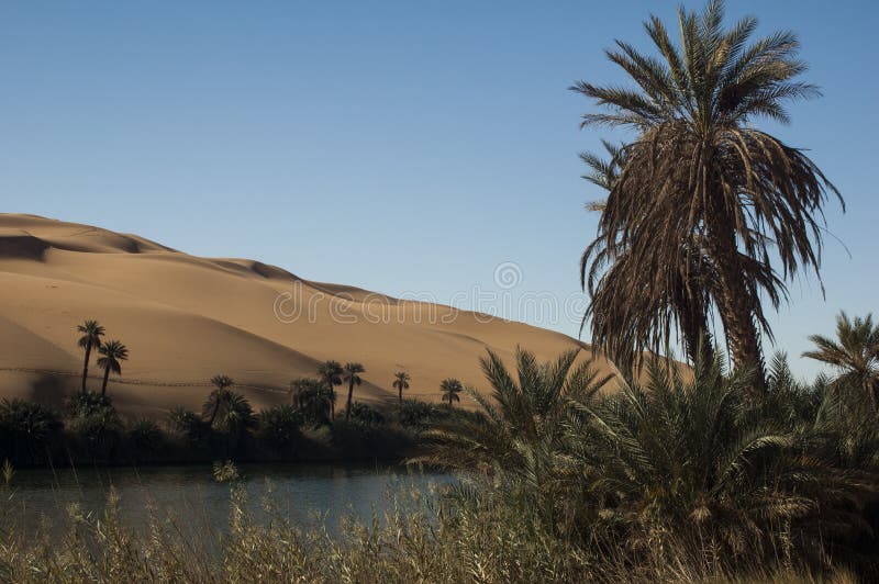 Gaberoun See - Wüsten-Oase, Sahara, Libyen Stockfoto - Bild von trocken ...