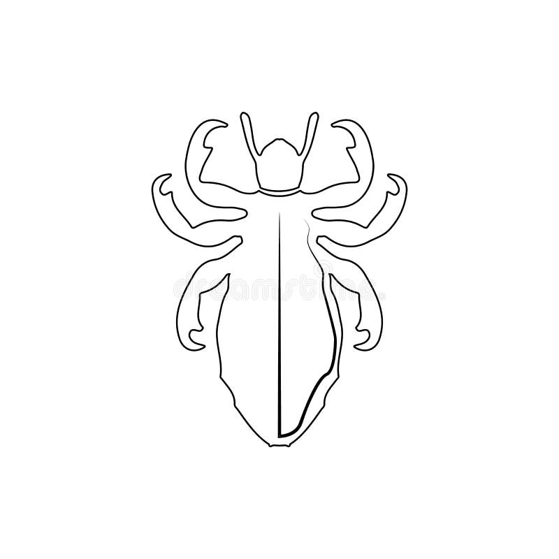 Lice Stock Illustrations – 1,050 Lice Stock Illustrations, Vectors ...