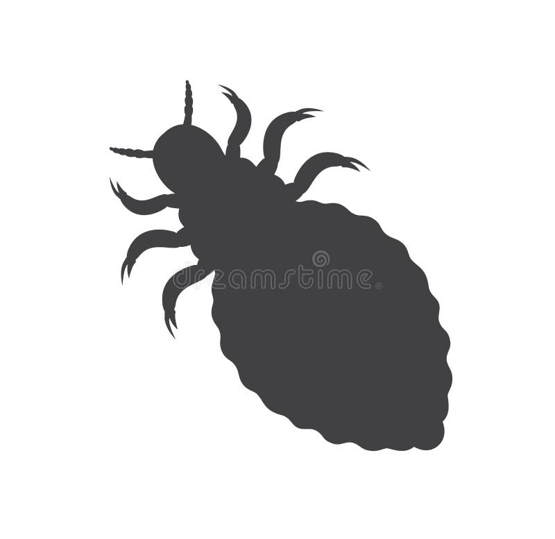 Lice Insect Silhouette stock vector. Illustration of insecticide - 94292666