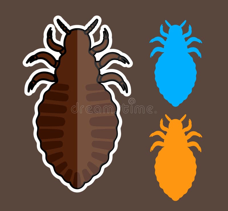 Lice Insects stock vector. Illustration of grub, sign - 94292026