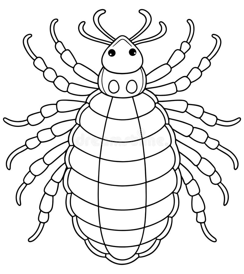 Lice Parasite Drawing for Science Learning and Printable Coloring Pages ...