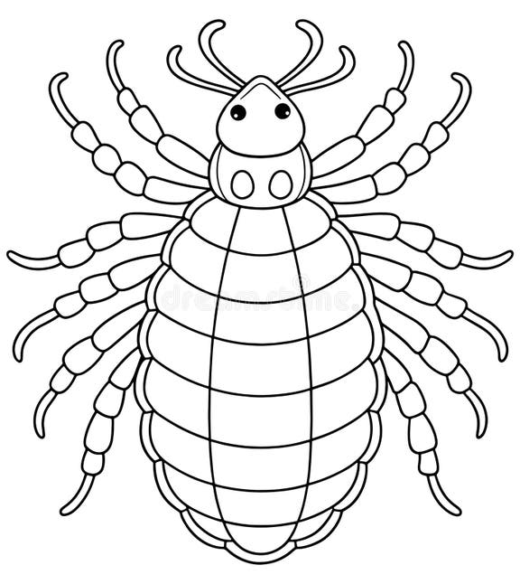 Lice Parasite Drawing for Science Learning and Printable Coloring Pages ...