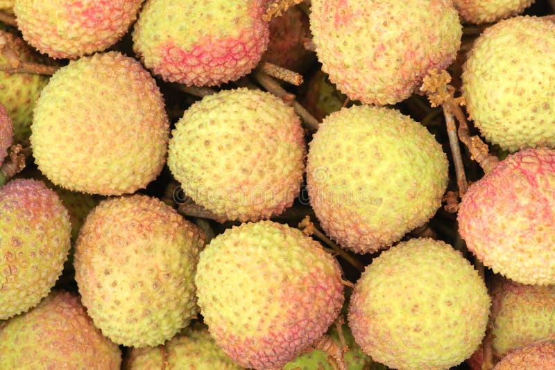Lichee image stock. Image du frais, manger, fruits, rouge - 24753785