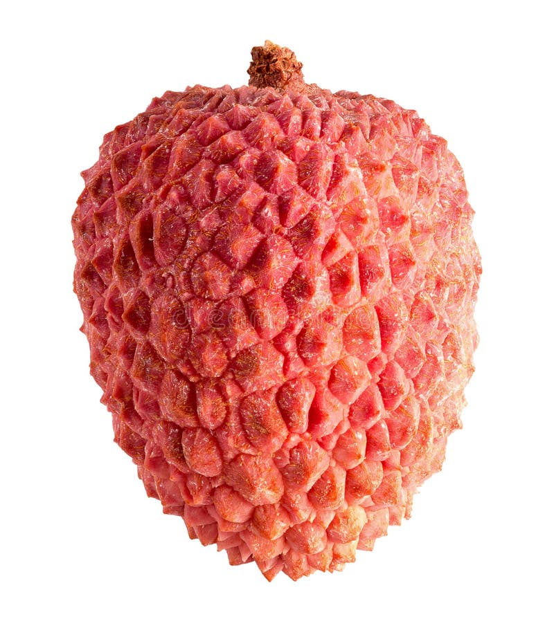 Lichee isolated stock image. Image of food, isolated - 25198771