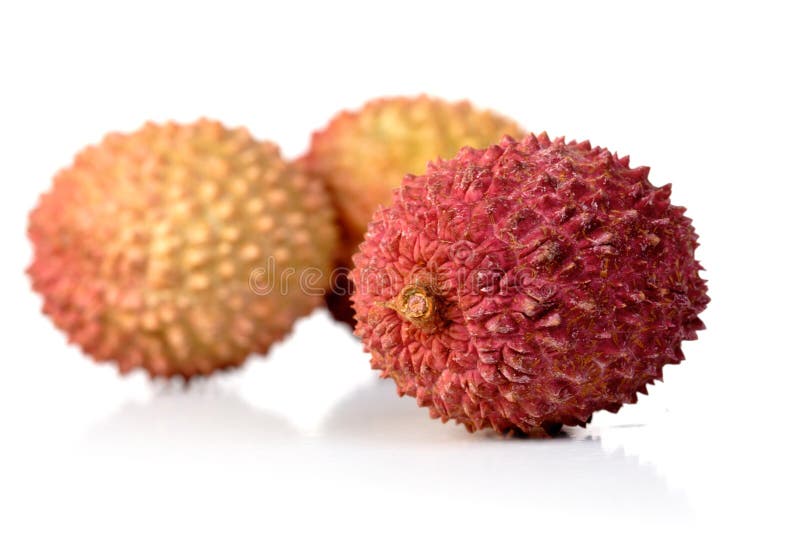 Lichee stock photo. Image of juicy, litchi, gourmet, chinese - 51670832
