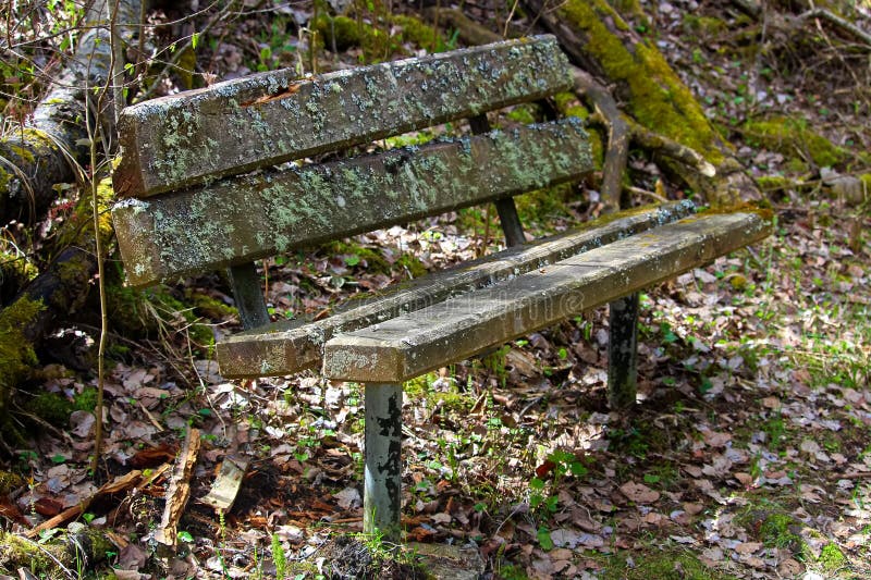 183 Rotten Bench Photos - Free & Royalty-Free Stock Photos from Dreamstime