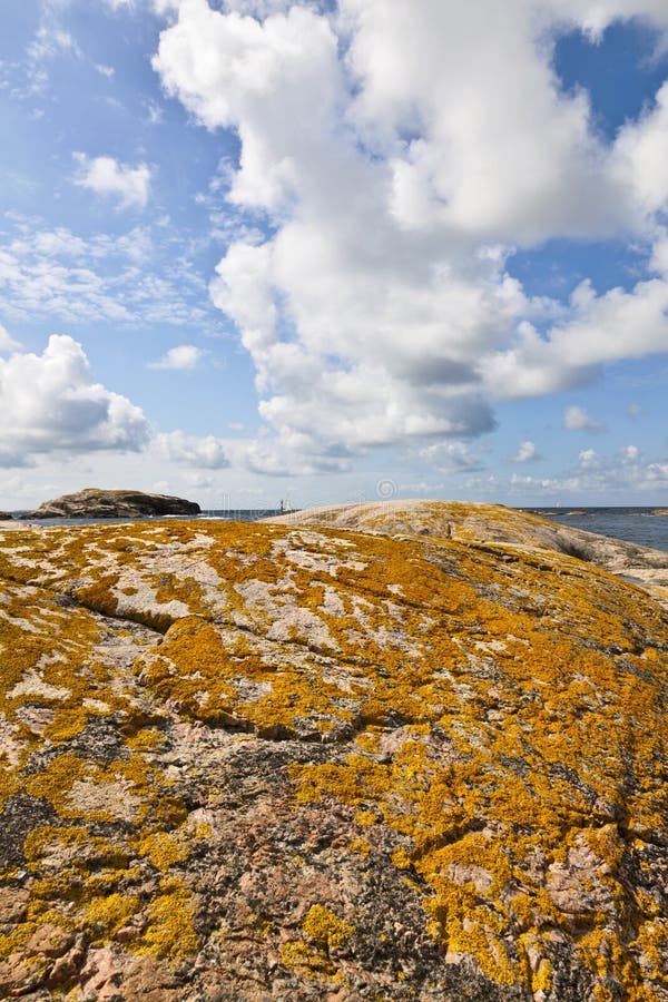 Lichen-covered on the Cliff Stock Photo - Image of landscape, coastal ...