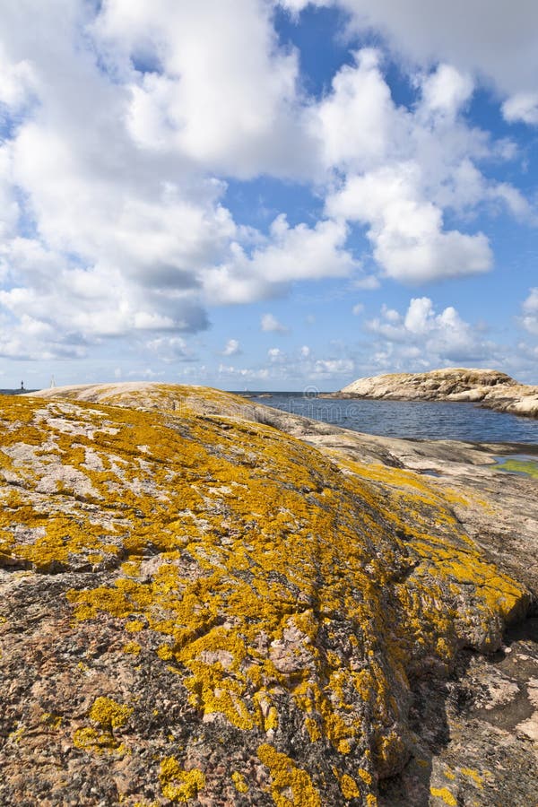 Lichen-covered on the Cliff Stock Image - Image of lichens, beauty ...