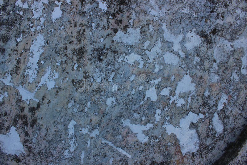 Texture â€“ Lichen on the Stone Stock Photo - Image of background ...