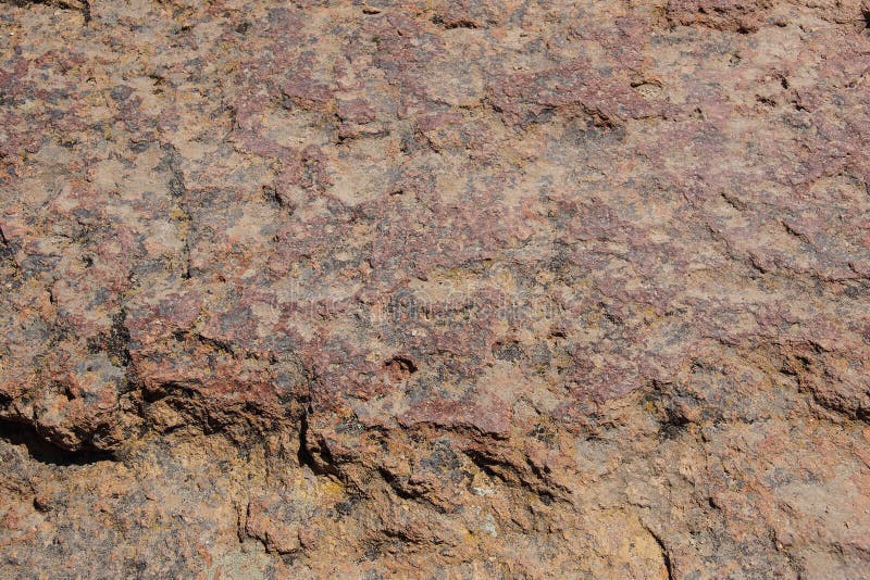 Lichene E Riolite Stagionata Immagine Stock - Immagine di fabbro ...