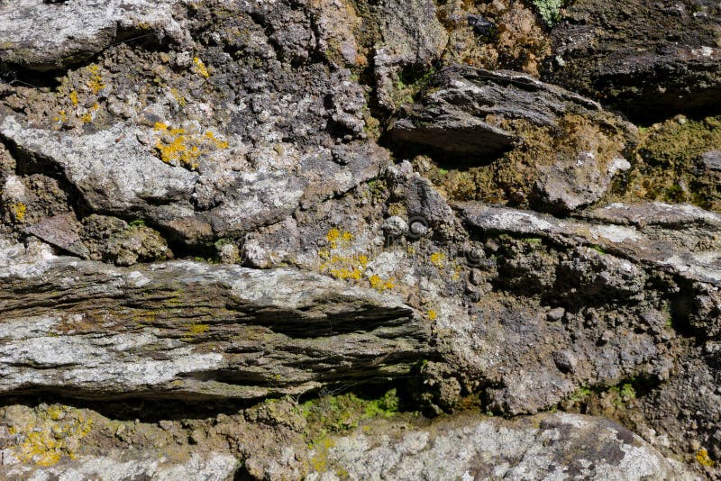 The Lichens and Moss As Background Old Rock Texture Stock Photo - Image ...