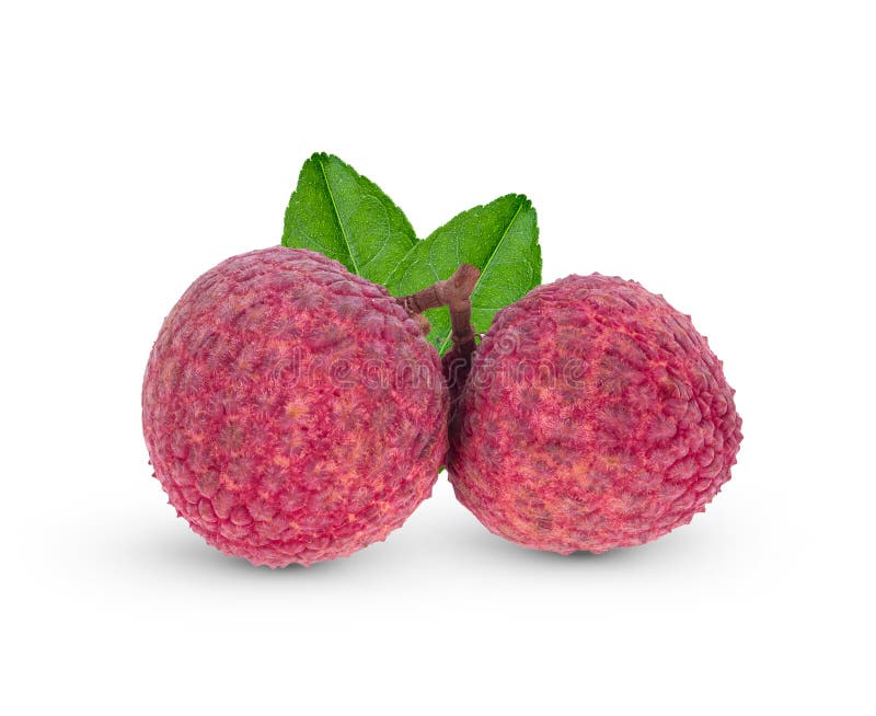 Lichi Aislado Sobre Fondo Blanco Foto de archivo - Imagen de germen ...