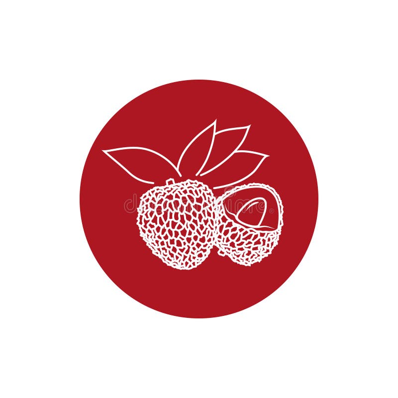 Lichi Del Icono En Los Contornos Ilustración del Vector - Ilustración ...