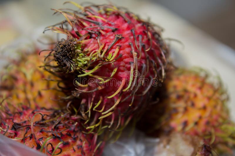 Lichi fruit stock photo. Image of lichi, fruit, lychy - 74036004