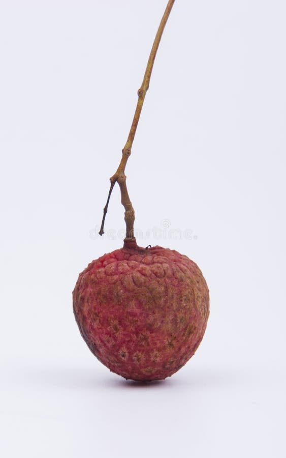 Lichi stock photo. Image of healthy, objects, health - 74378532