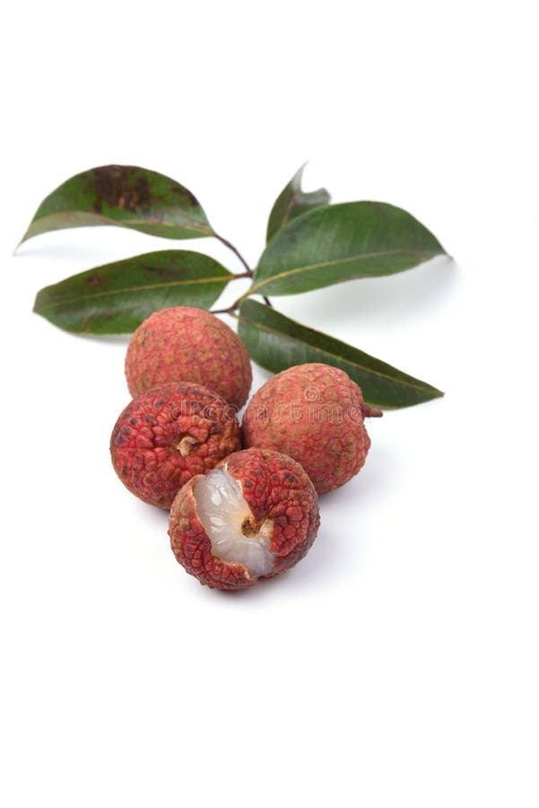 Lichi stock image. Image of food, eating, sappy, lichee - 74379701