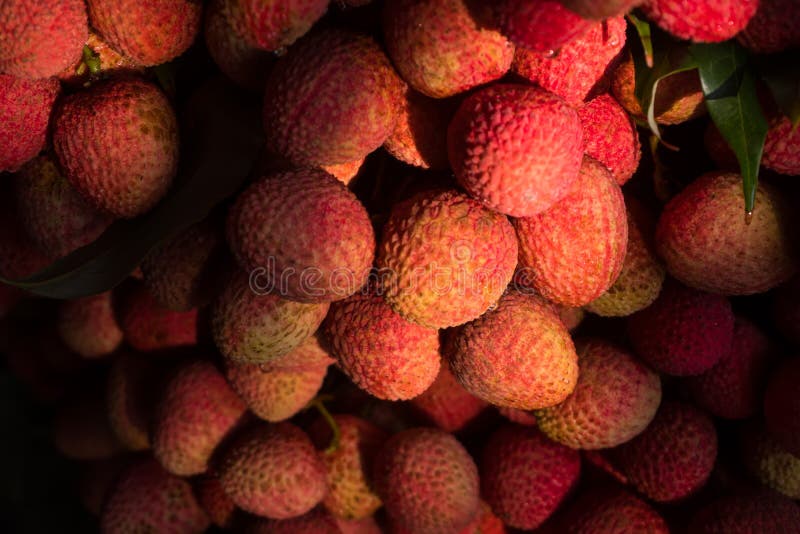 Lichi is a Tasty Sweet Flavour Fruit Stock Image - Image of flavour ...
