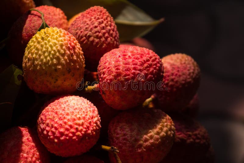 Lichi is a Very Tasty and Flavour Fruit Stock Image - Image of ...