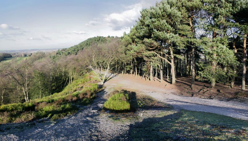 Lickey hills stock image. Image of britain, flora, heath - 3304223
