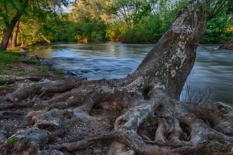 Camp Harding Stock Photos - Free & Royalty-Free Stock Photos from ...