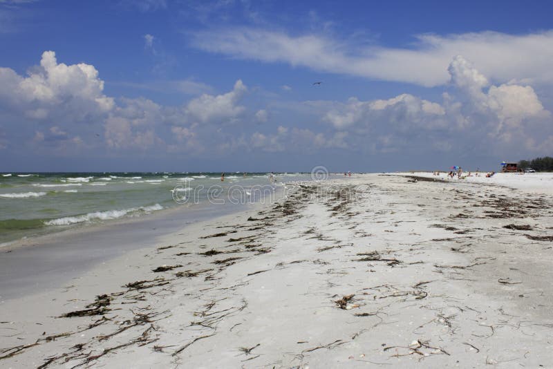Lido Key Beach, Sarasota, FL Editorial Image - Image of blue, sand ...