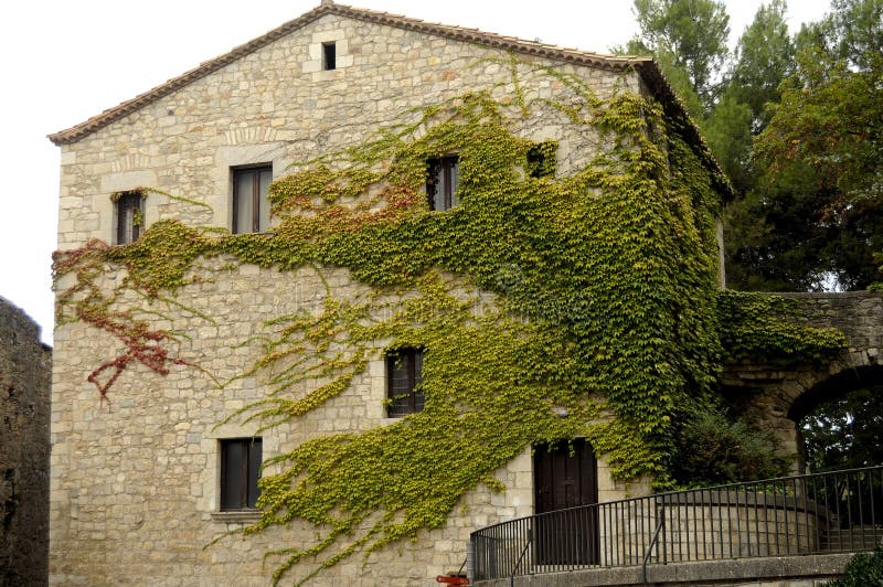 Lierre Sur La Façade De La Maison Image stock - Image du centrale, lame ...