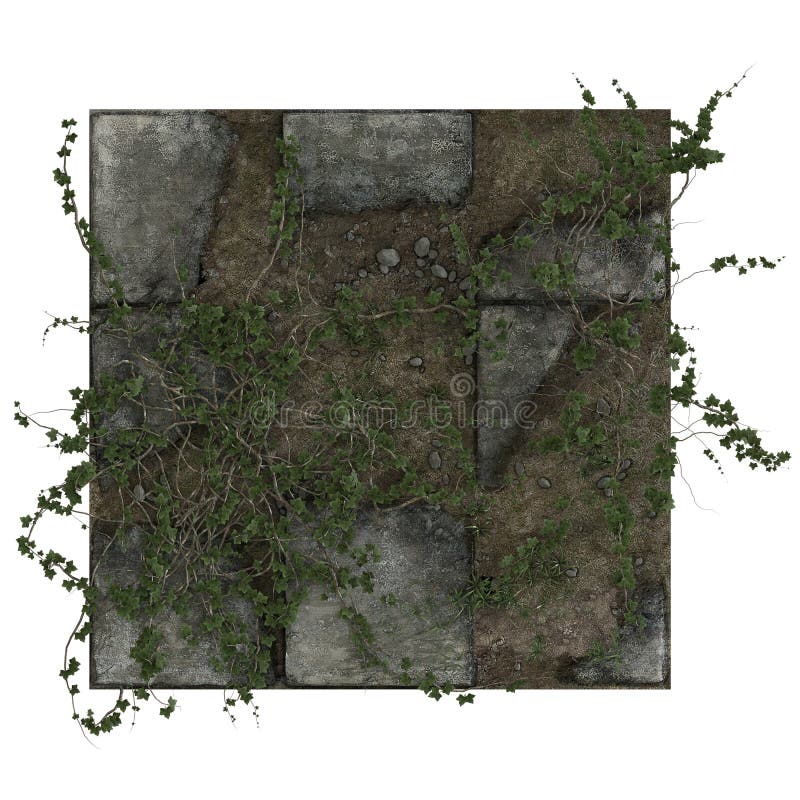 Lierre Sur Les Tuiles De Pavage Sales Illustration Stock - Illustration ...