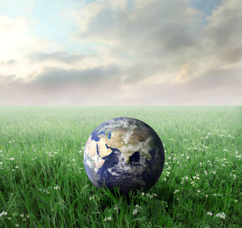 New life stock photo. Image of garden, clouds, farming - 8045386