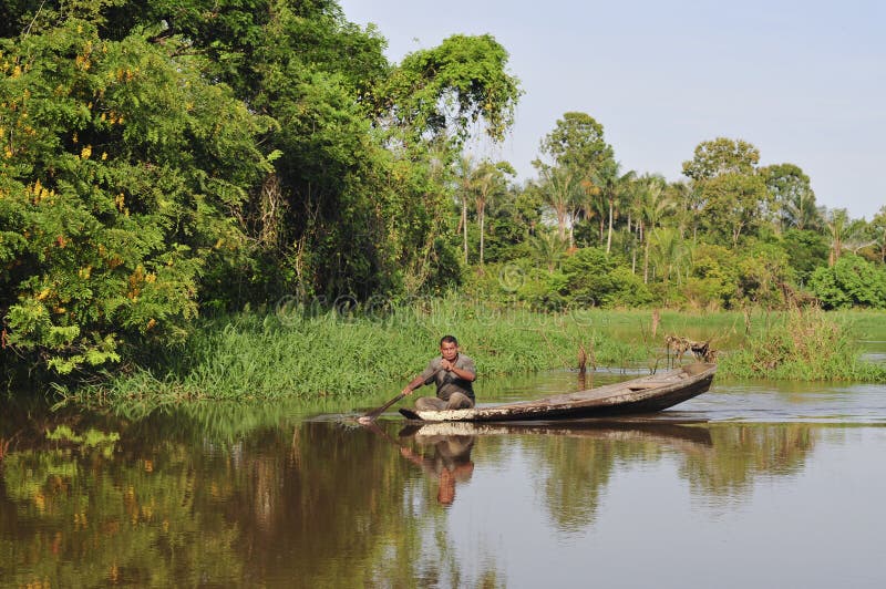 Life in Amazon Jungle (the Amazonia) Stock Photo - Image of amazonian ...