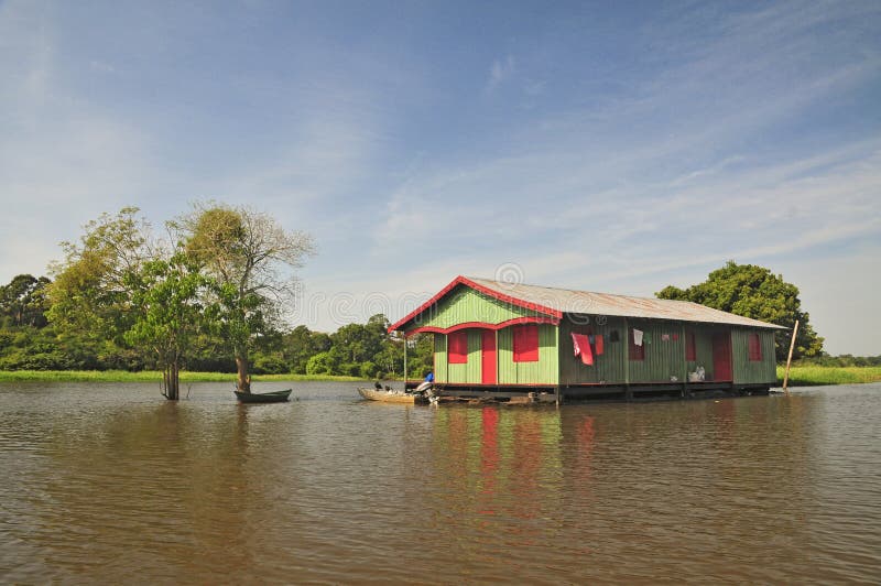 Amazon Jungle House (the Amazonia) Stock Image - Image of primeval ...