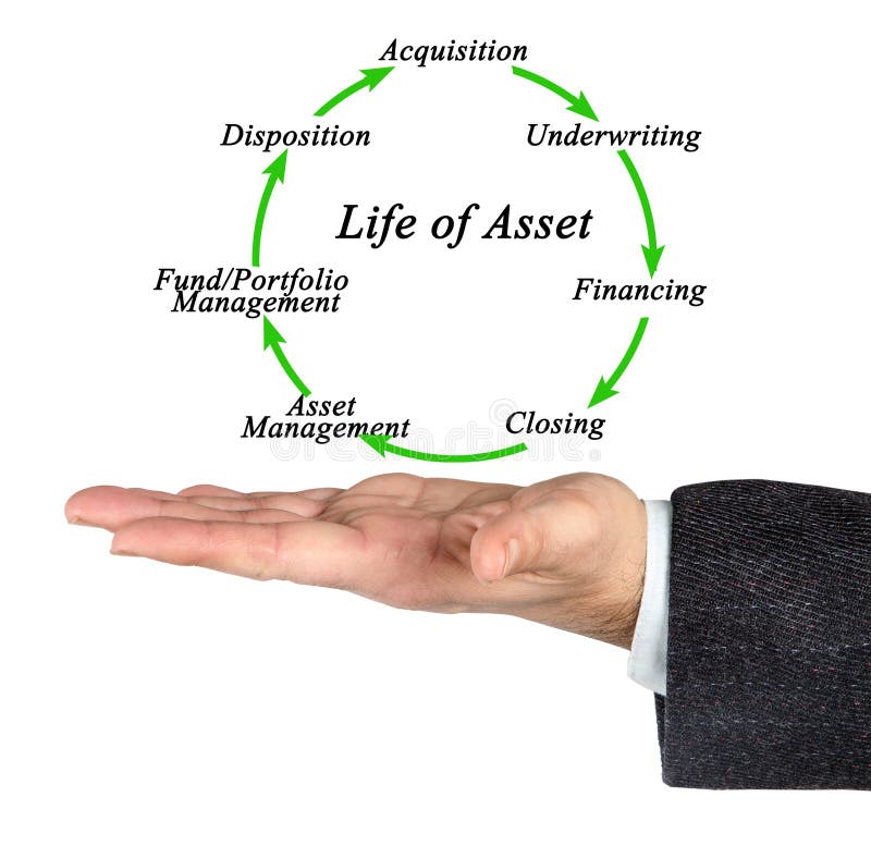 Life of Asset stock image. Image of life, lecturer, financing - 94367655