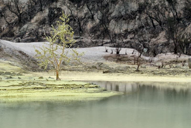 A life in a barren land stock image. Image of surround - 12260595