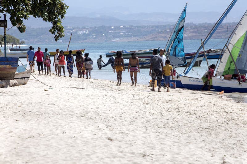 Life on the Beaches of the Indian Ocean North of Madagascar Editorial ...