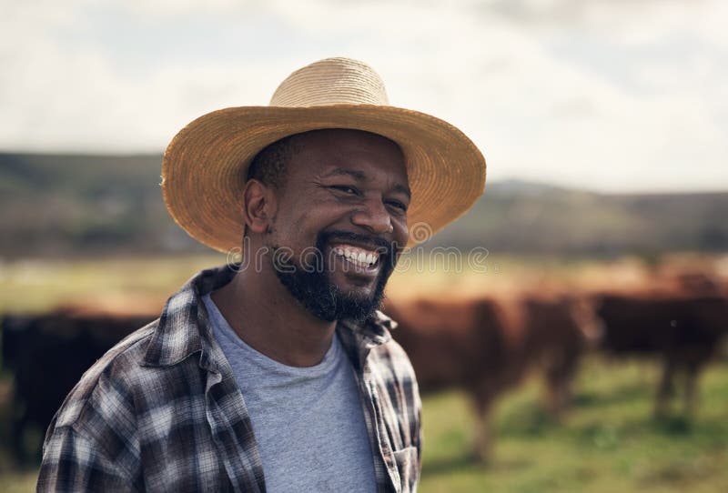 Life is Beautiful Down on the Dairy Farm. a Mature Man Working on a ...