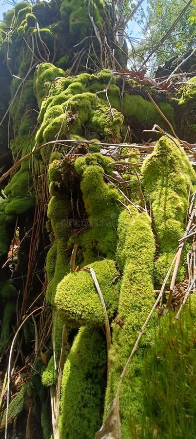 Life is Beautiful and There are Many Things To Smile about. Stock Image ...