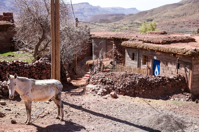 Berber Huts in the Sahara Desert. Stock Image - Image of farm, village ...