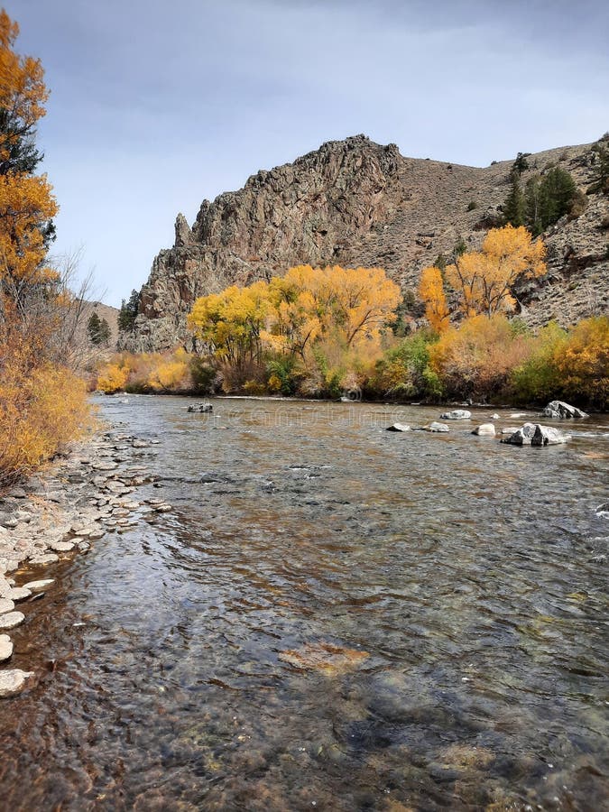 Life is always Better by the River Stock Image - Image of river, water ...