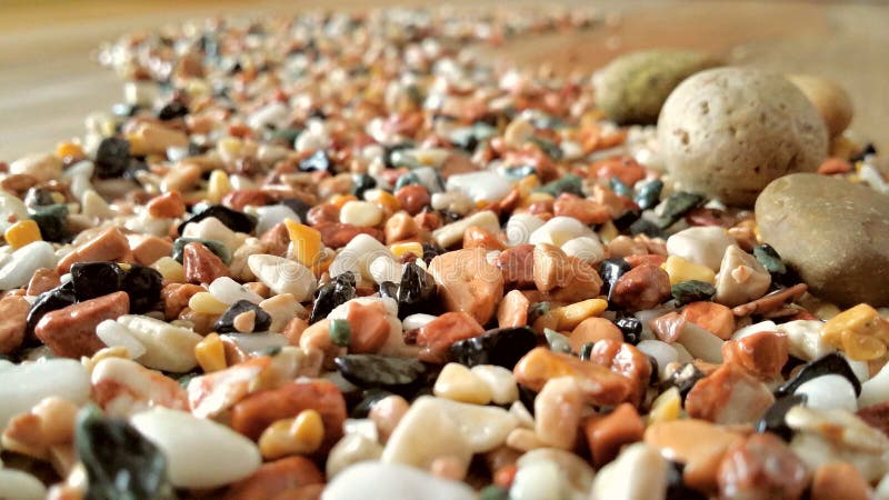 Life is a bumpy path stock image. Image of life, path - 62229241