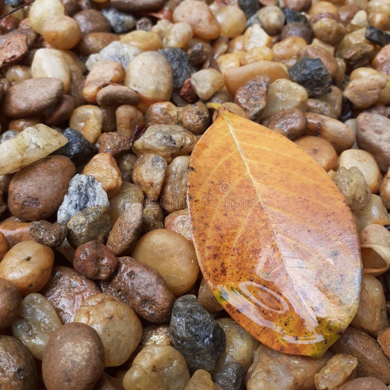 Life Changeable from View of Nature Eye Point Stock Photo - Image of ...