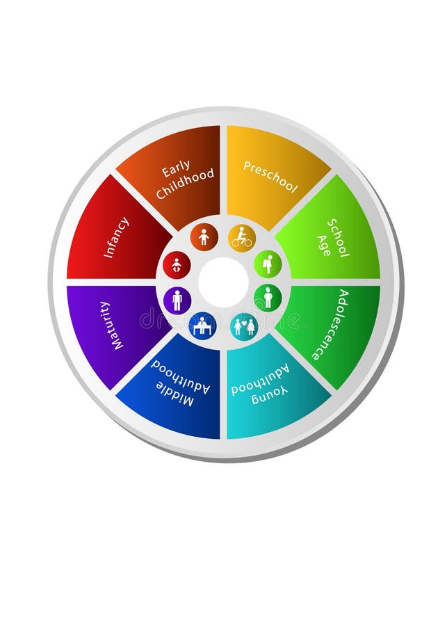 The life circles stock vector. Illustration of infographics - 238102301