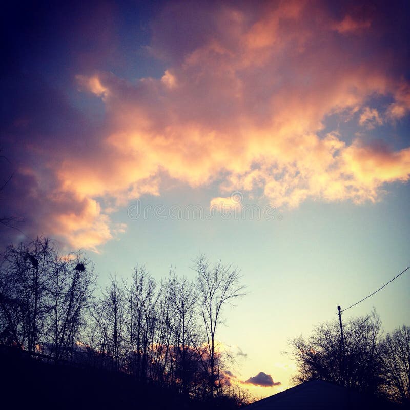 Life stock photo. Image of blue, clouds, trees, life - 50441192