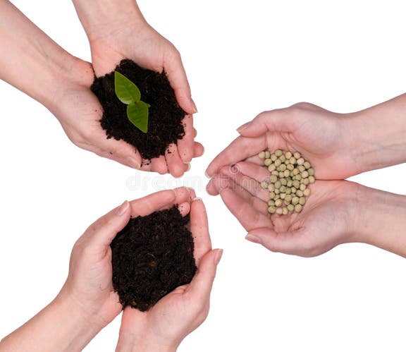 7,947 Life Cycle Earth Stock Photos - Free & Royalty-Free Stock Photos ...